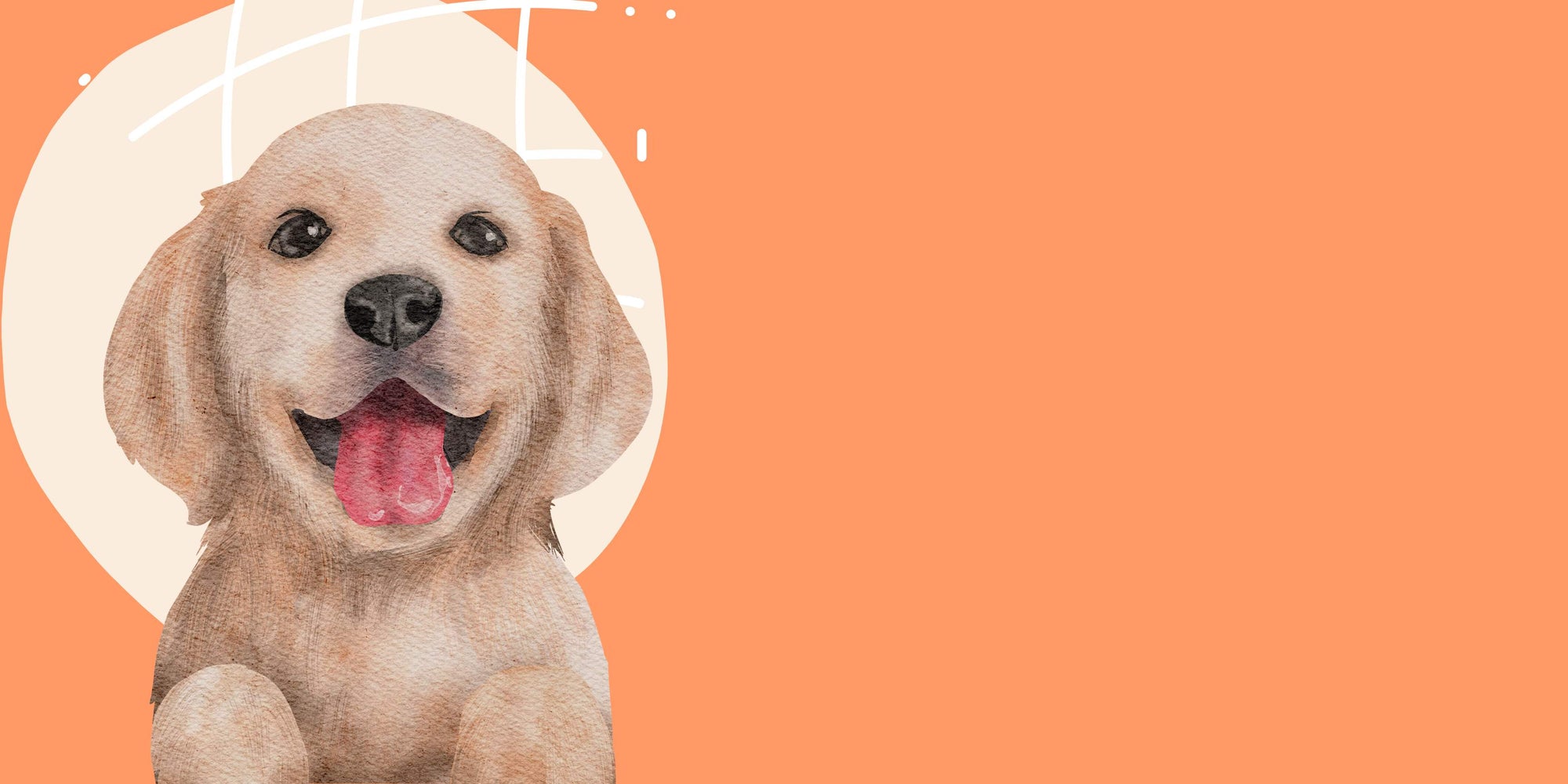 FURRI FOODS | Fresh & Functional Foods For Pets – Furri Foods
